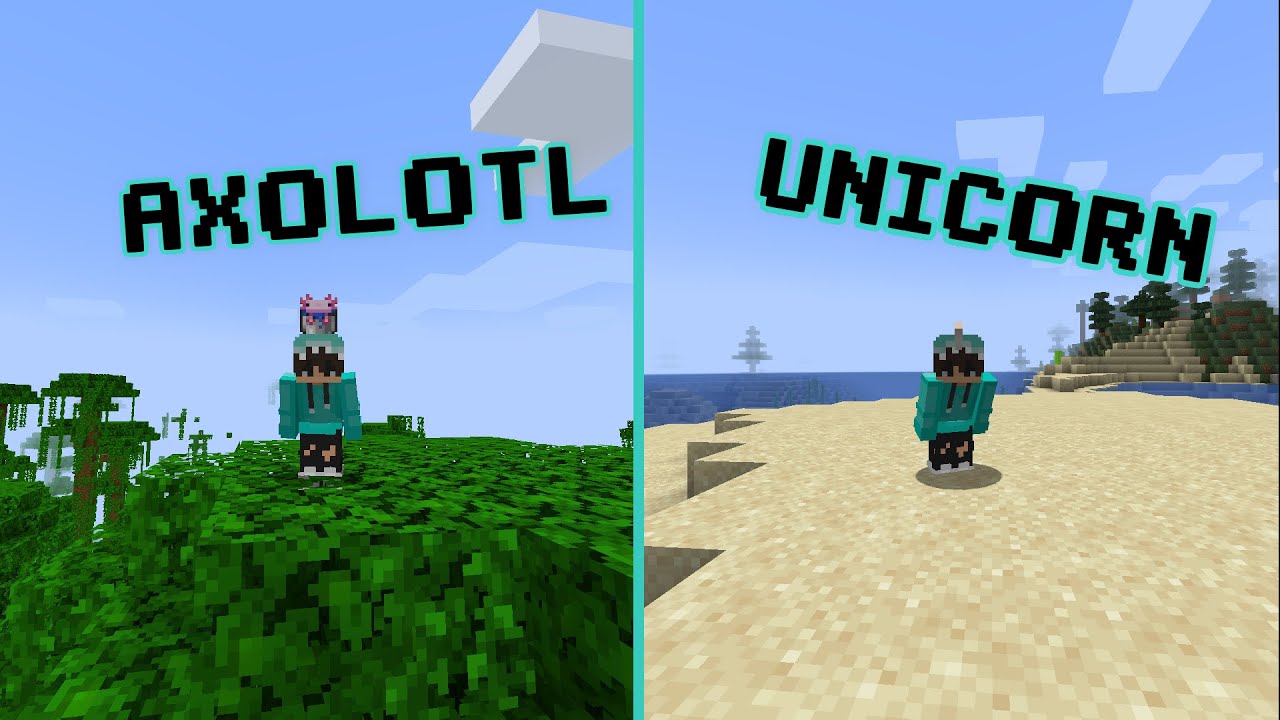 How To Get ANY Item On Your HEAD In Minecraft YouTube how-to-get-any-item-on-your-head-in-minecraft-youtube