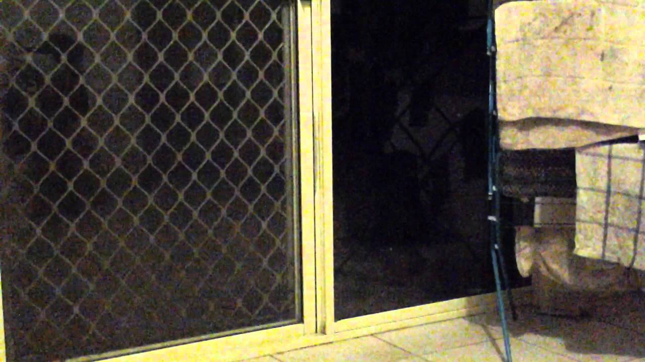 Drunk Zombie in my house. - YouTube