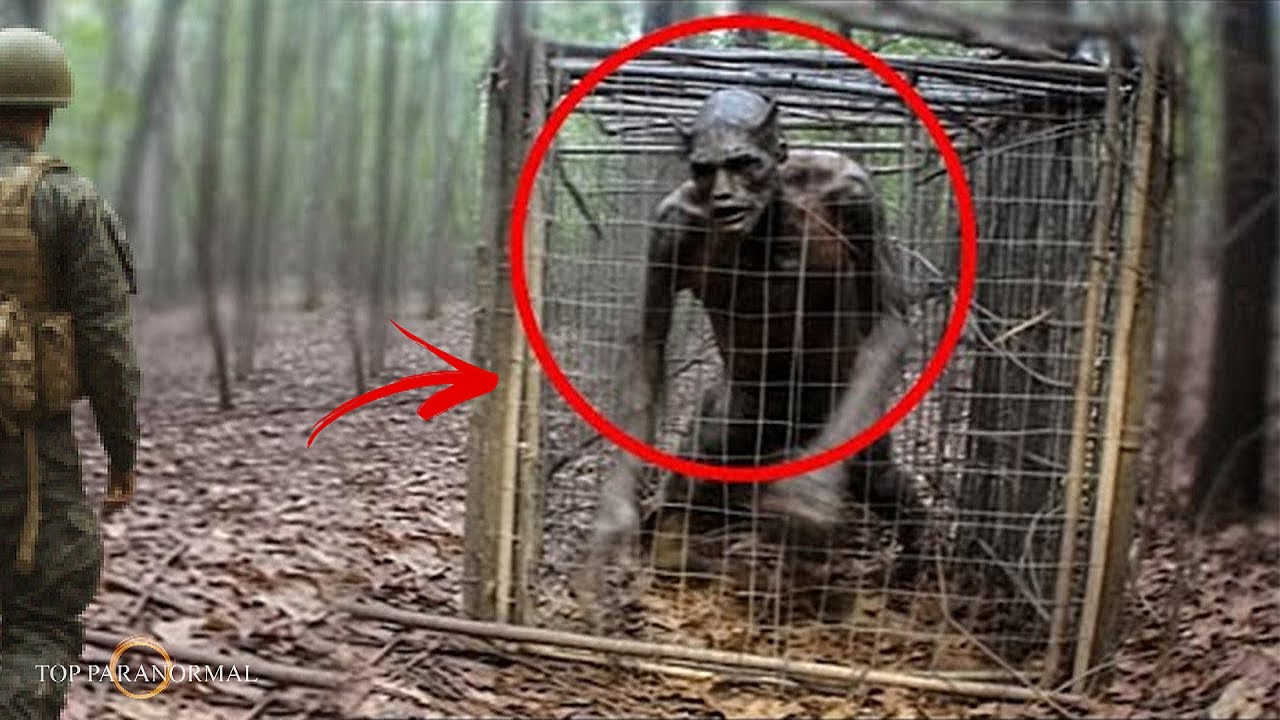 5 Videos de TERROR EXTREMO y Paranormal Captados en Cámara / Parte 8 ...