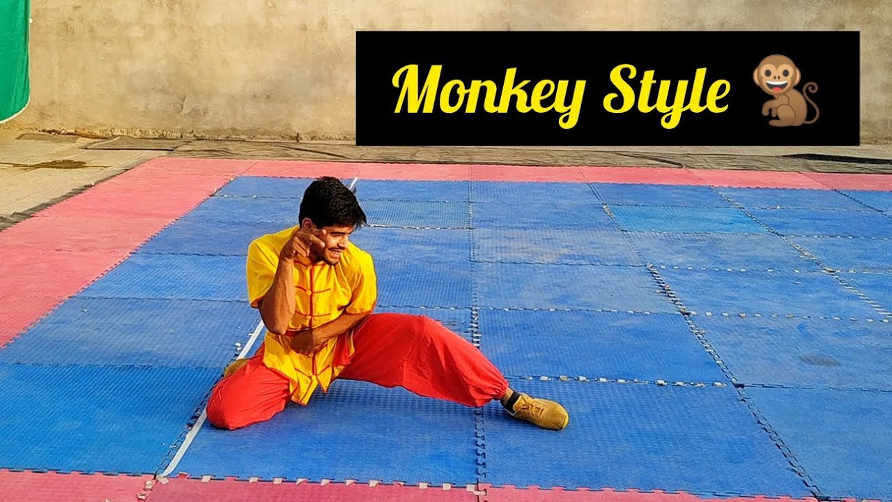 Monkey Man 🐒😄 | District Level Wushu Championship, Jodhpur | Rajasthan ...