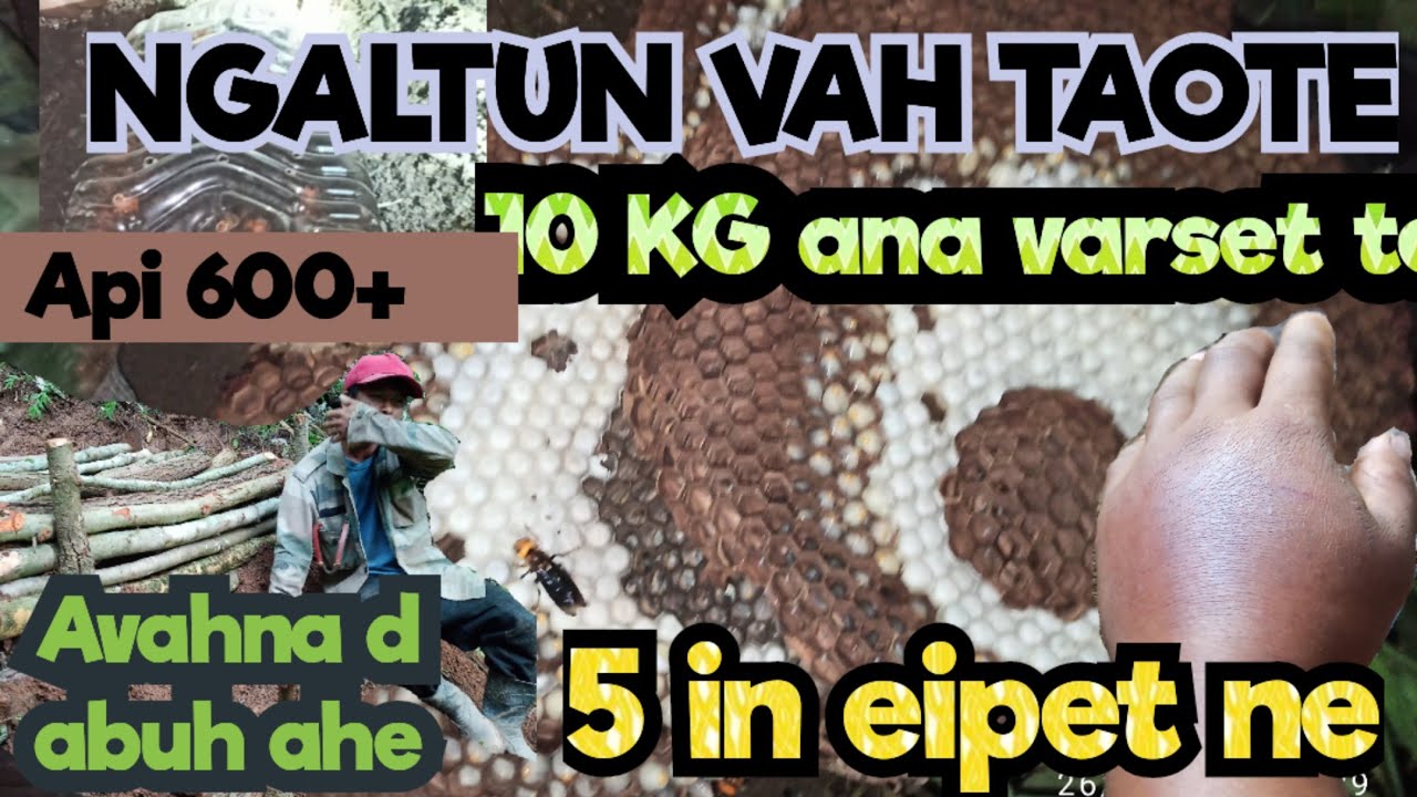 NGALTUN🐝 VAH DIN KALA UVE/KG10 VAR ANA PHA TAIJE/API JONG 600/700 LHING ...