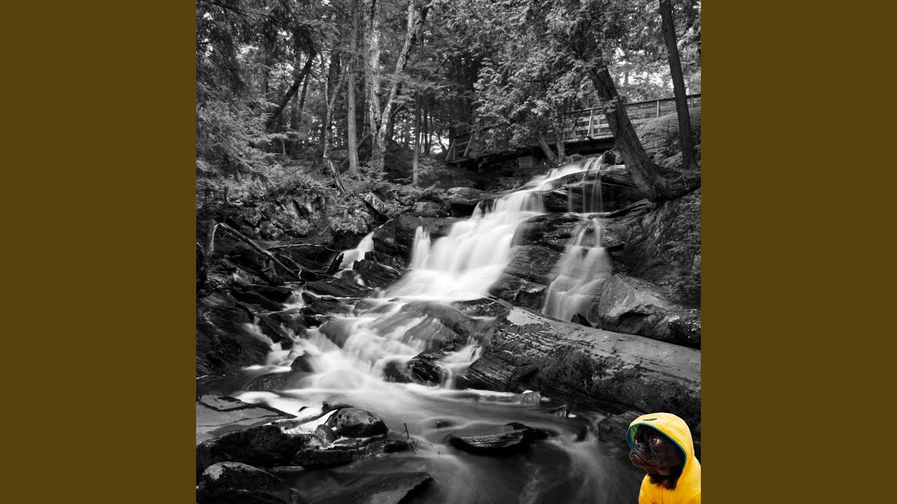 Alpha Flow Zen State River - YouTube