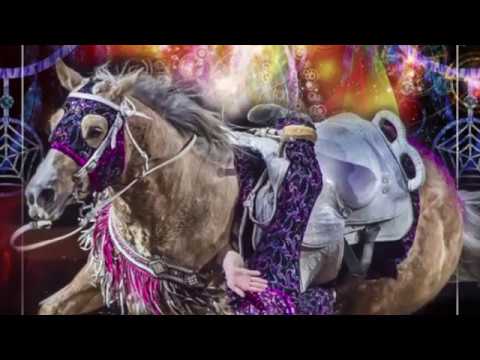 Magic in Motion Equine Productions - Trick Riding & Roman Riding - YouTube