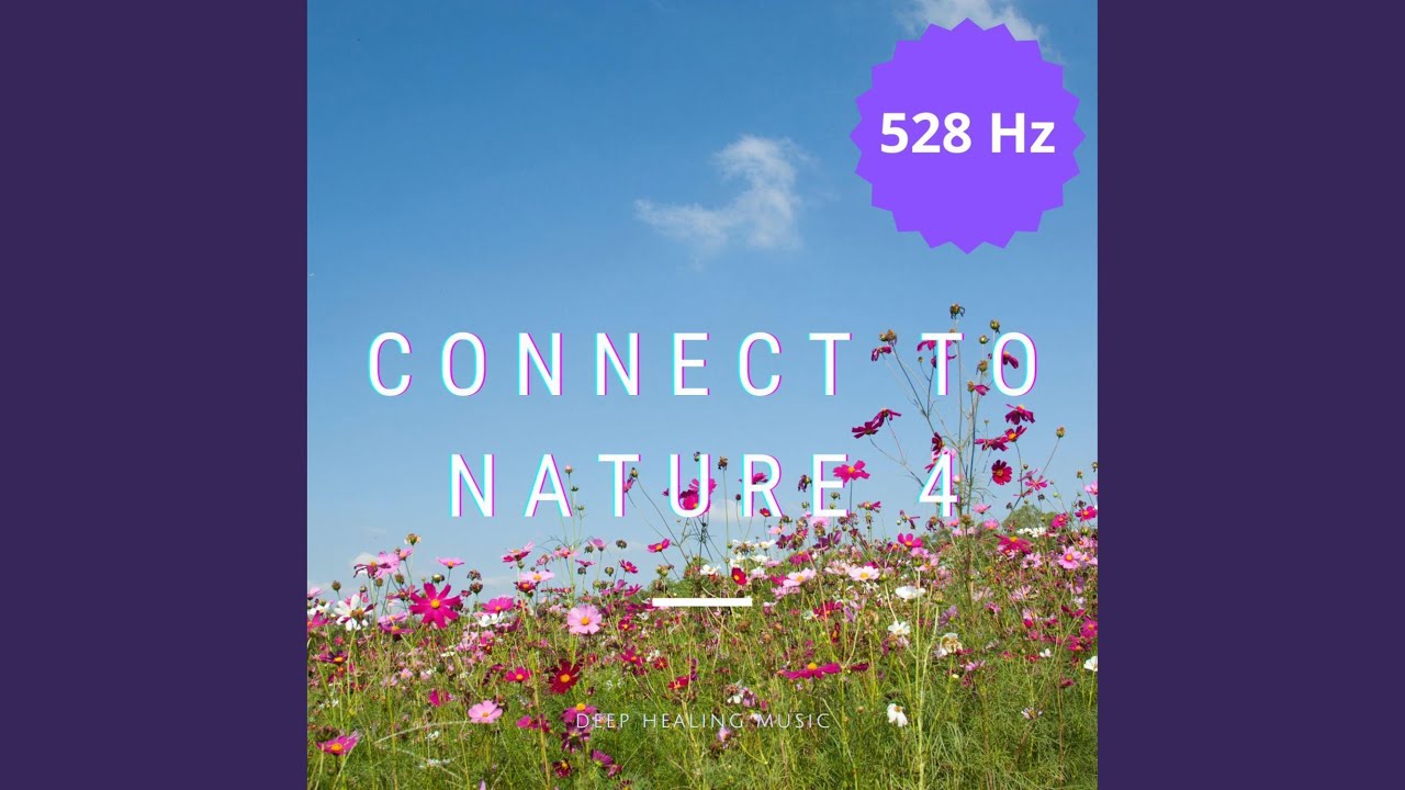 Connect to Nature 4 - YouTube
