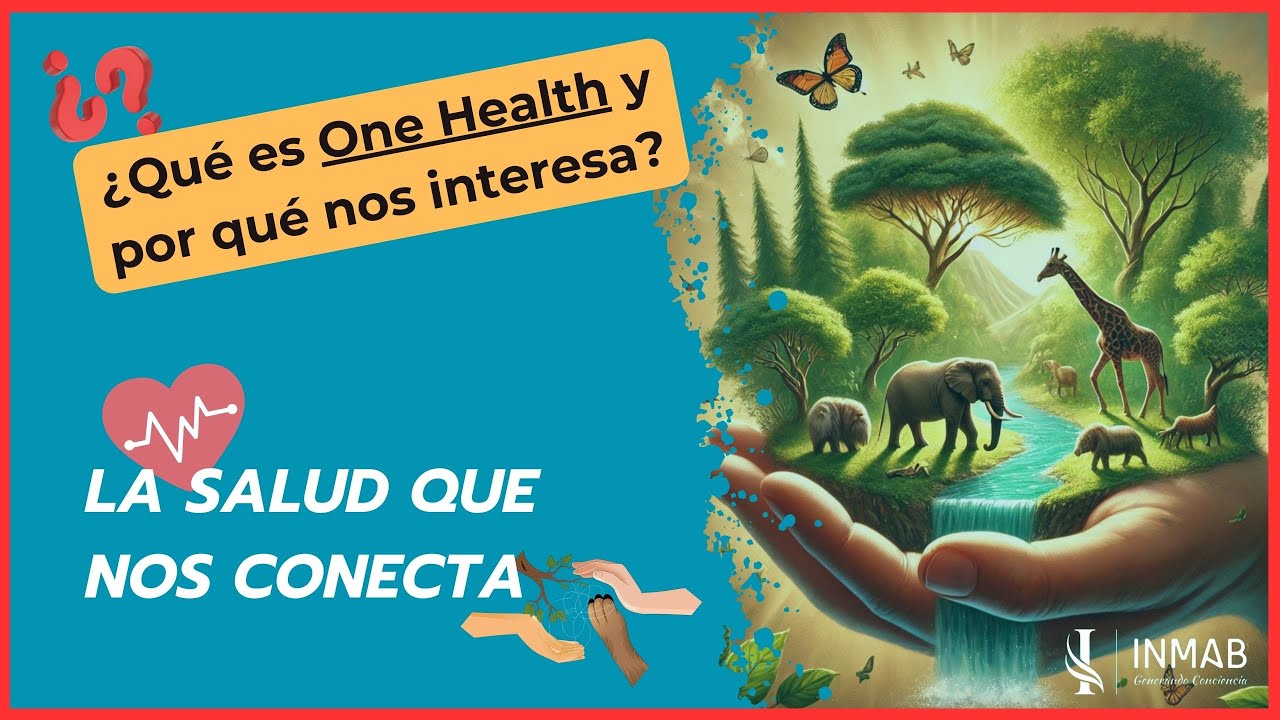 One Health: La Conexión entre Humanos, Animales y el Planeta - YouTube