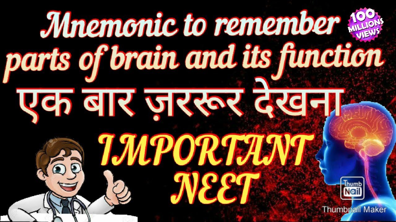 Mnemonic To Remember Parts Of Brain And Its Function NEET AND BOARDS Mnemonic To Remember Parts Of Brain And Its Function NEET AND BOARDS