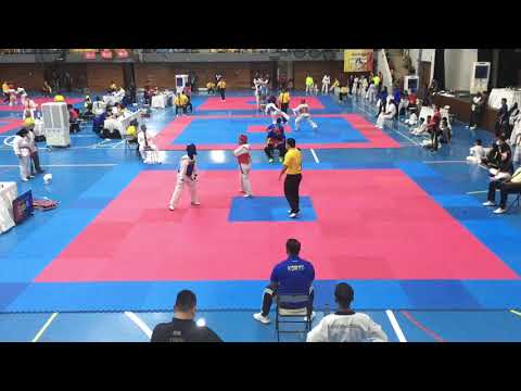 2019 Interclub Championship Aesyah - Quarter Final (R)