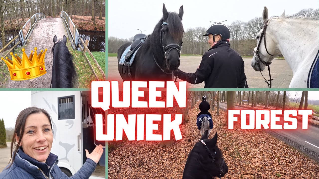 Hi Rising Star⭐! To the forest with.... Queen👑Uniek & Waloubet ...