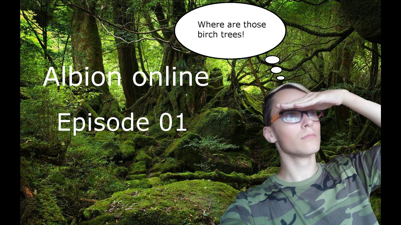 WHERE IS THAT BIRCH?! | Albion Online | Episode 01 - YouTube
