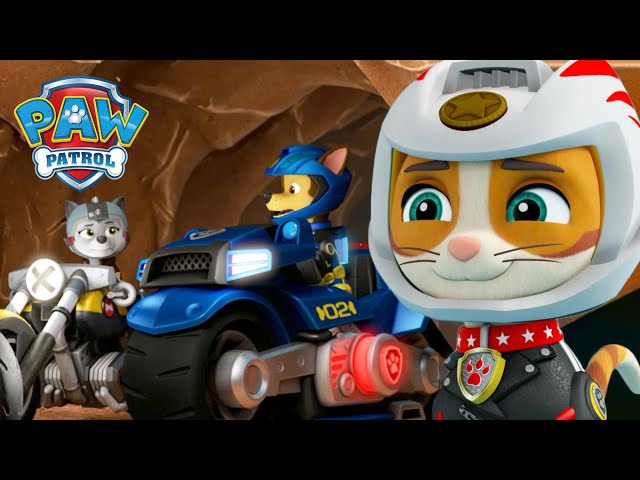 Wild Cat and Moto Pups save a trapped Chase and more! - PAW Patrol ...