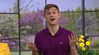 Roberta's 6-Piece Wheels of Wonder Hardy Ice Plants on QVC