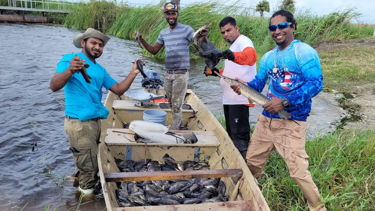 One Boat Load Of Fish (Hassa & Tilapia) - YouTube