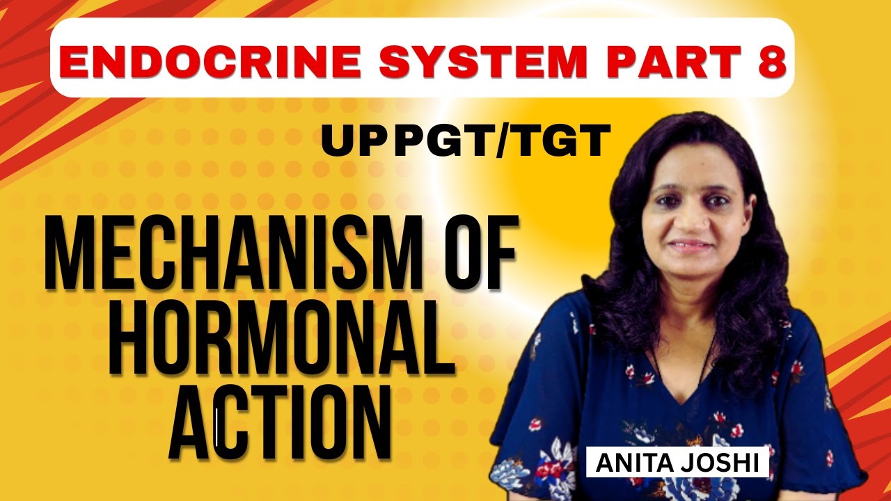 Mechanism of Hormonal Action | Endocrine System | Human Anatomy ...