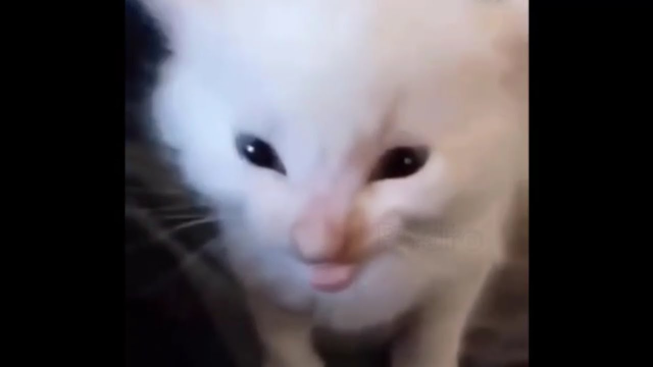 Hi Herbert - YouTube