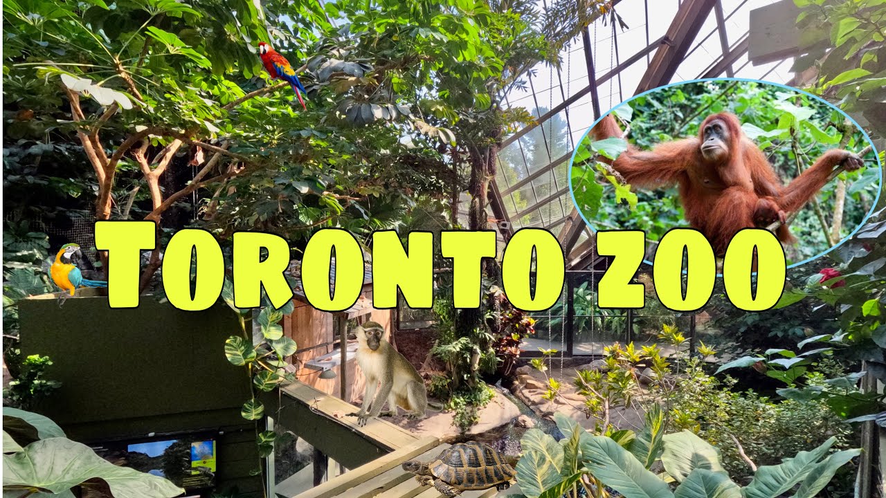 [4K] 🇨🇦 TORONTO ZOO Walkthrough Tour Ontario, Canada - YouTube