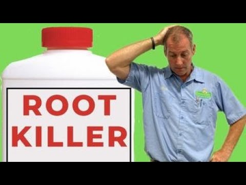 How To Kill Plant Roots Causing Plumbing Problems