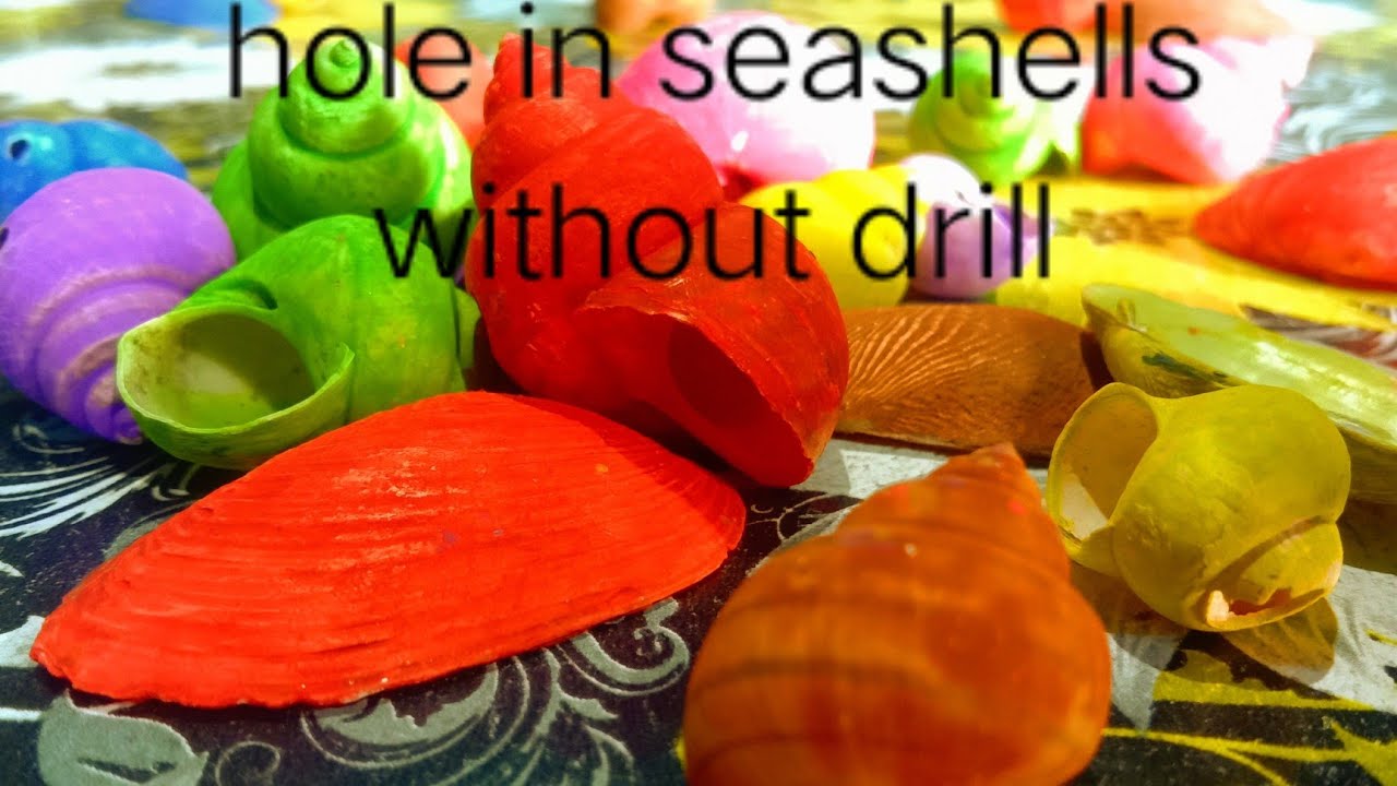 How to hole in seashell without drill || quick and easy - YouTube