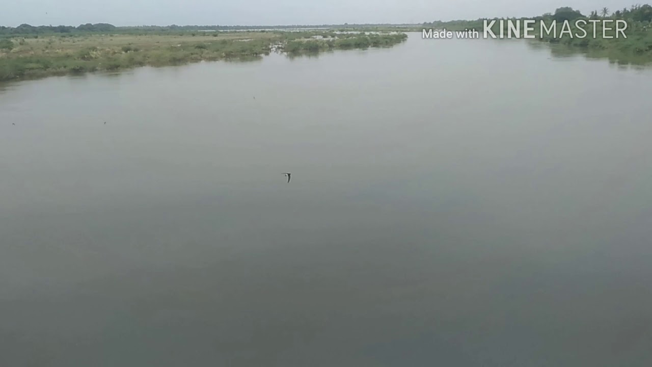 Kollidam river , கொள்ளிடம் ஆறு 1.8.2018 - YouTube