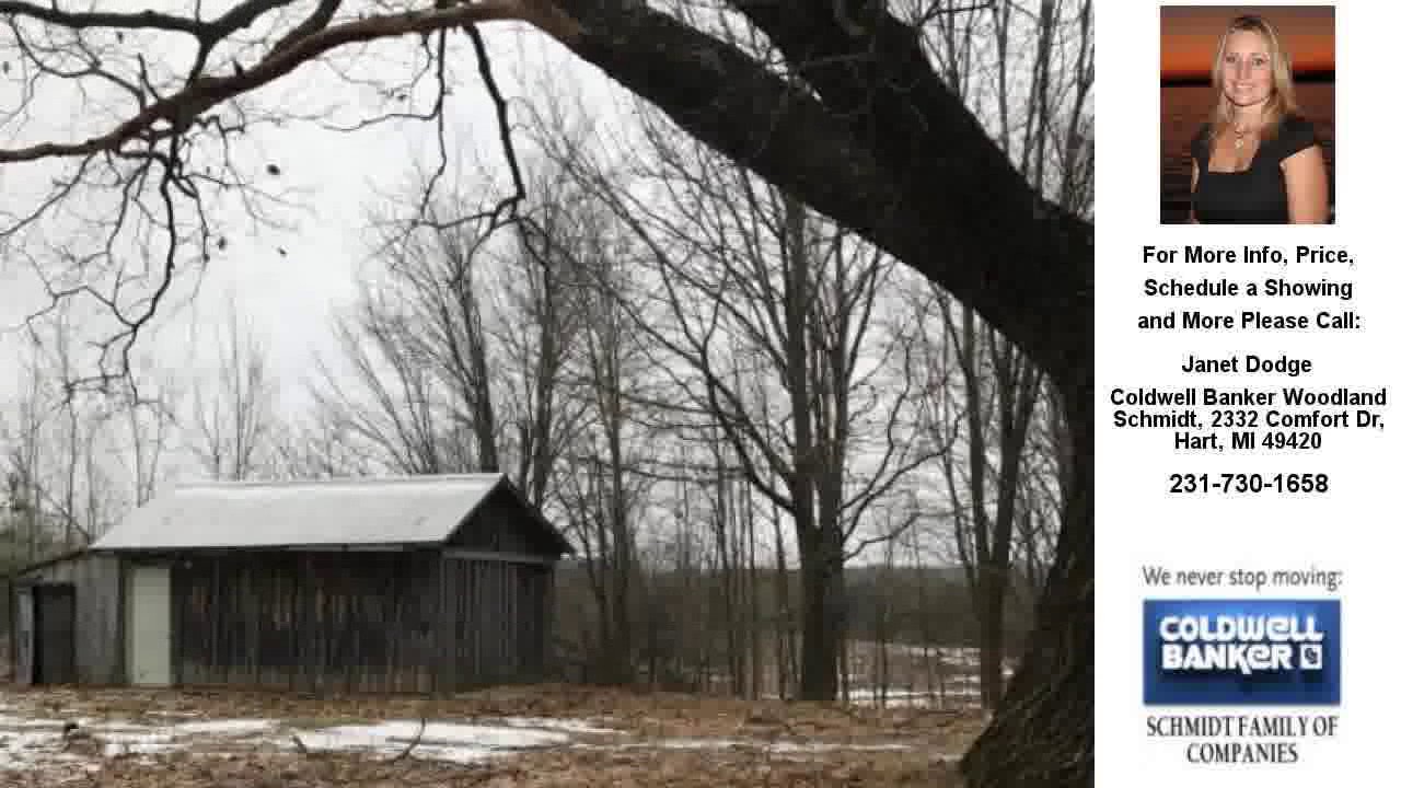 2227 S Van Wagoner Avenue, Hesperia, MI Presented by Janet Dodge. - YouTube