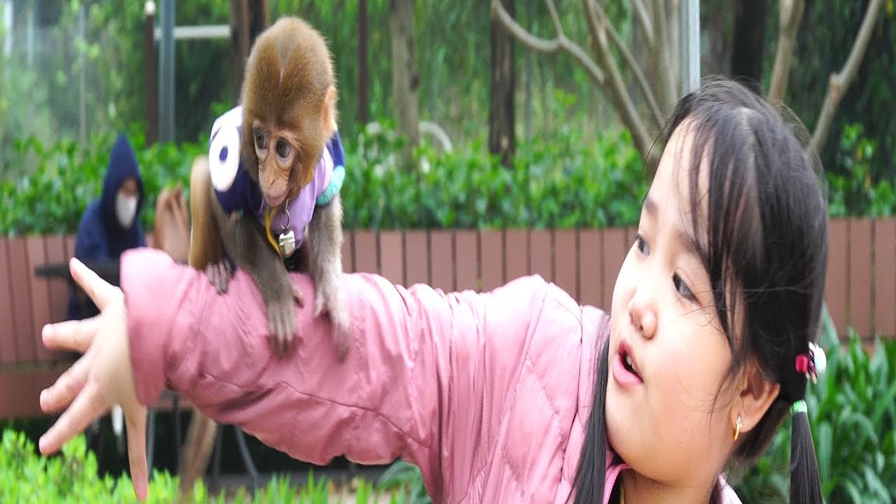Boo Boo Monkey and sister vs mami do exercise - YouTube