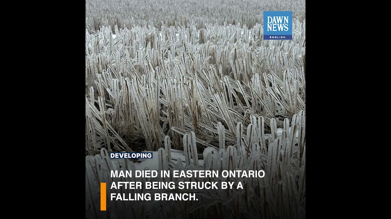 Over A Million Without Power After Ice Storm Hits Canada | Developing ...