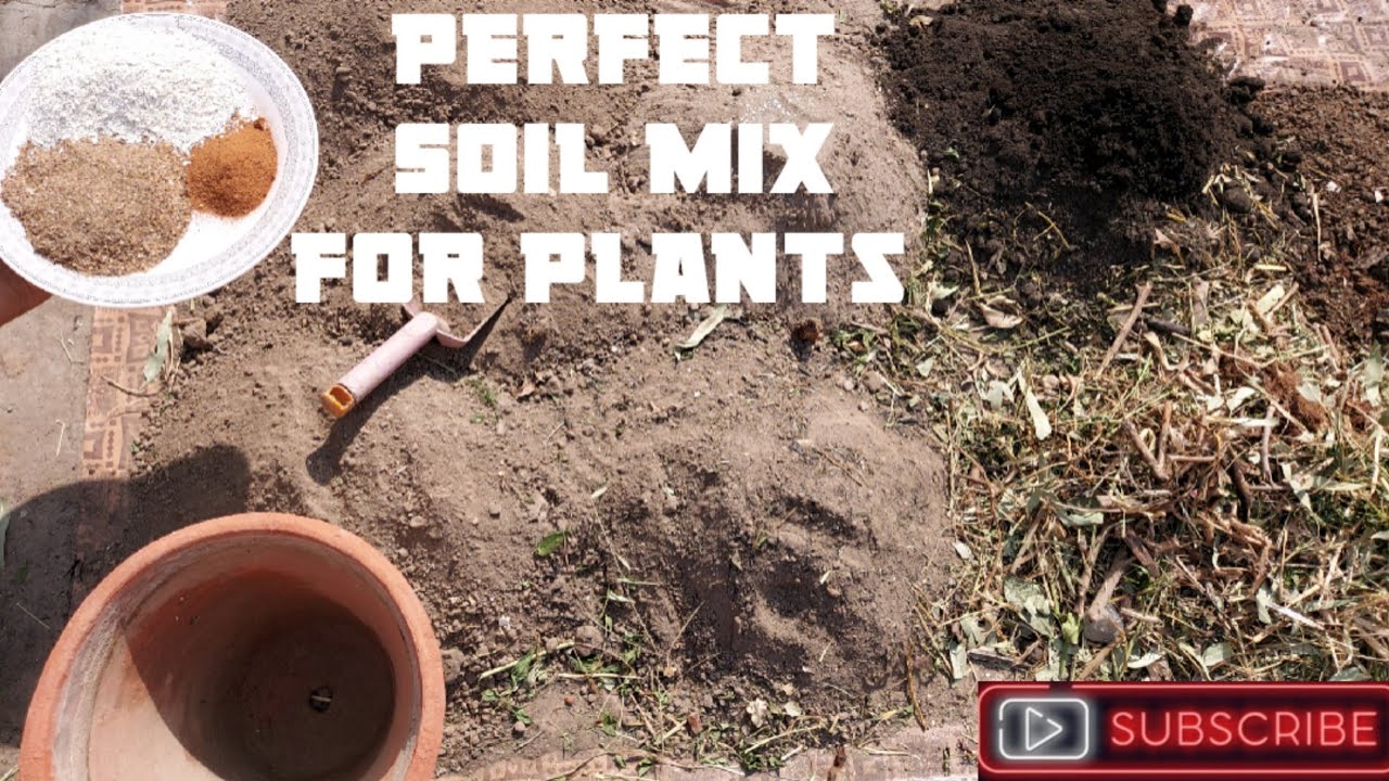 How To Prepare Perfect Soil Mix For Plants - YouTube