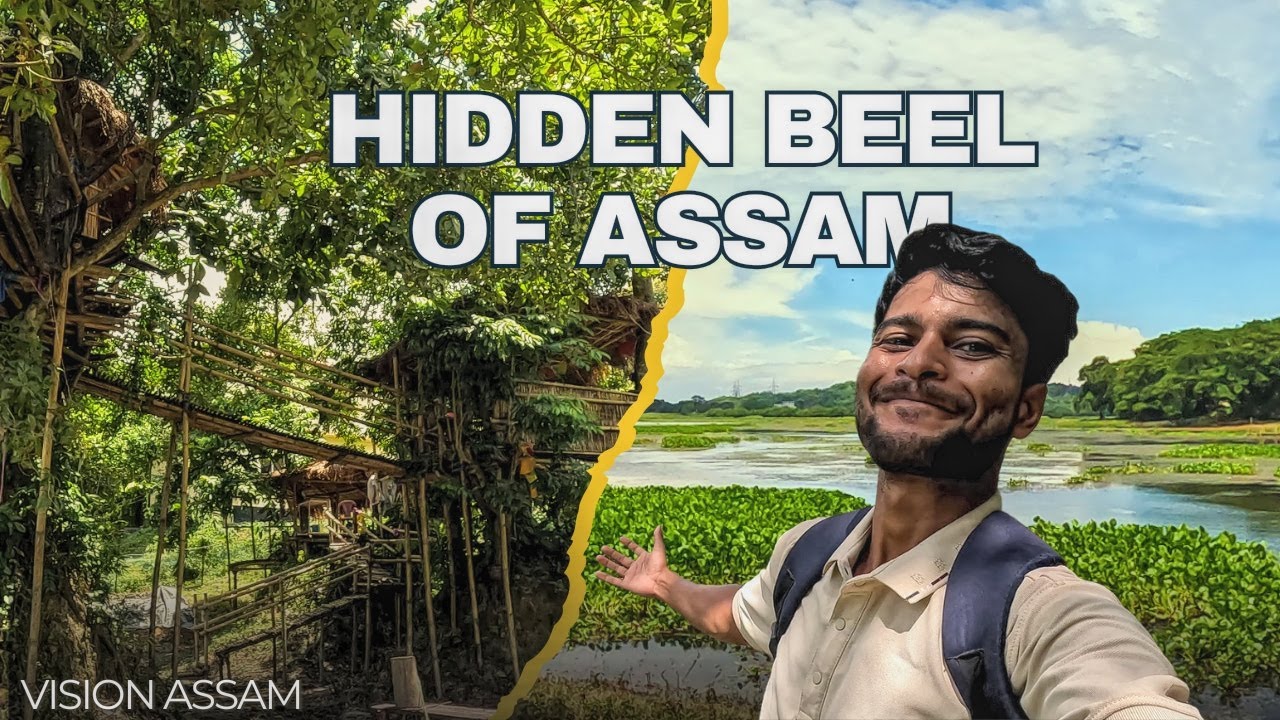 The hidden beel of Assam//অসমৰ এটা গোপন বিল #assam #travelvlog # ...