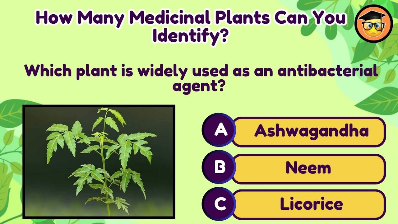 Medicinal Plants Quiz-Test Your Knowledge|Can You Score 30/30?Medicinal ...