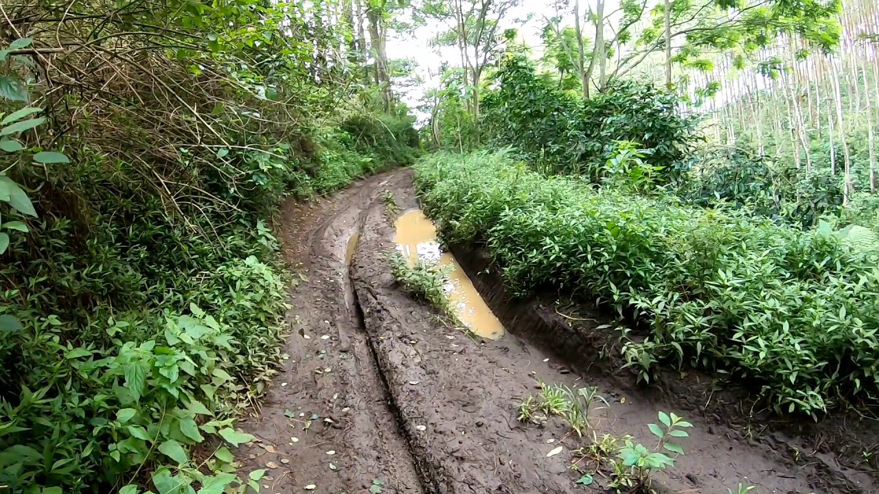 29ers review on wet, muddy and slippery tracks - YouTube