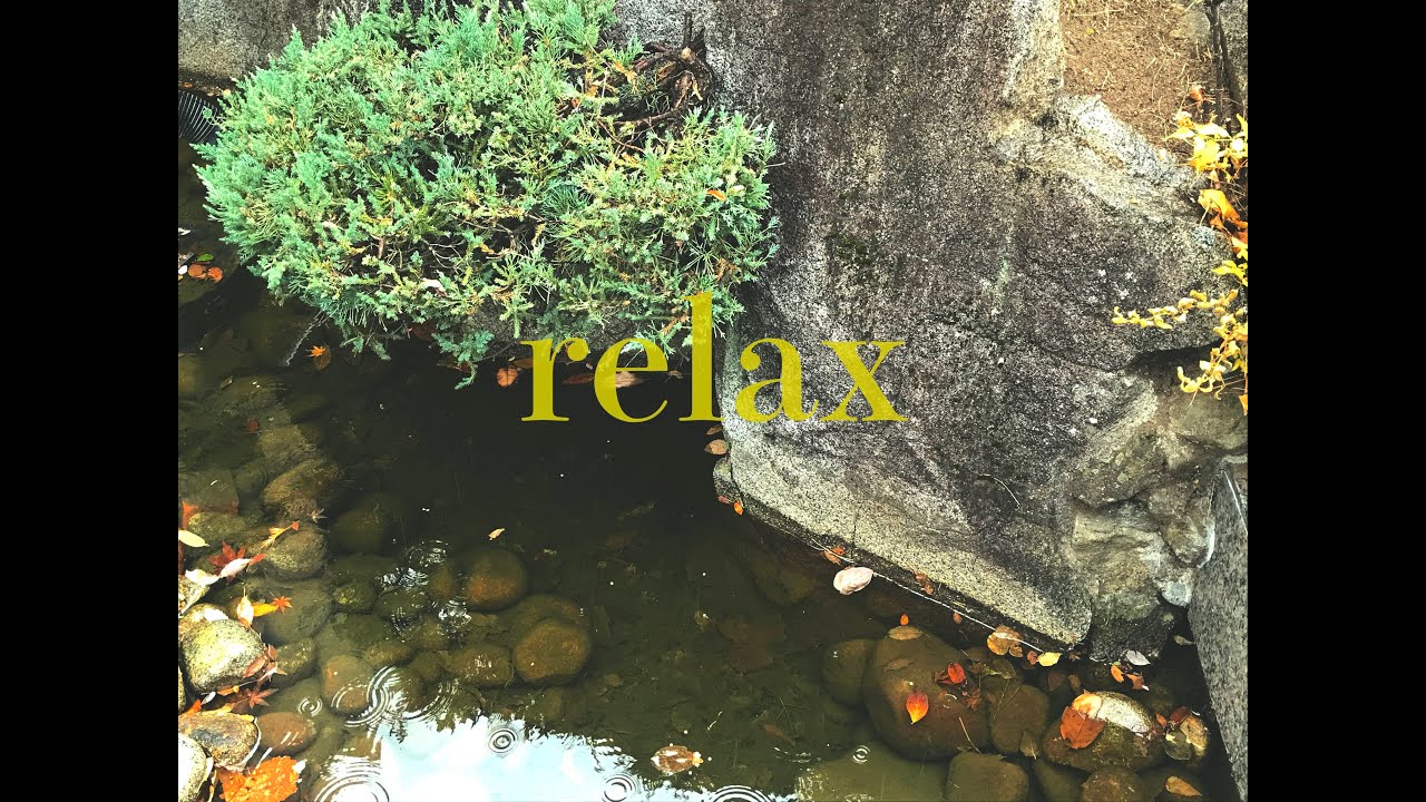 【10 hours relax】Tree music / f10 - YouTube