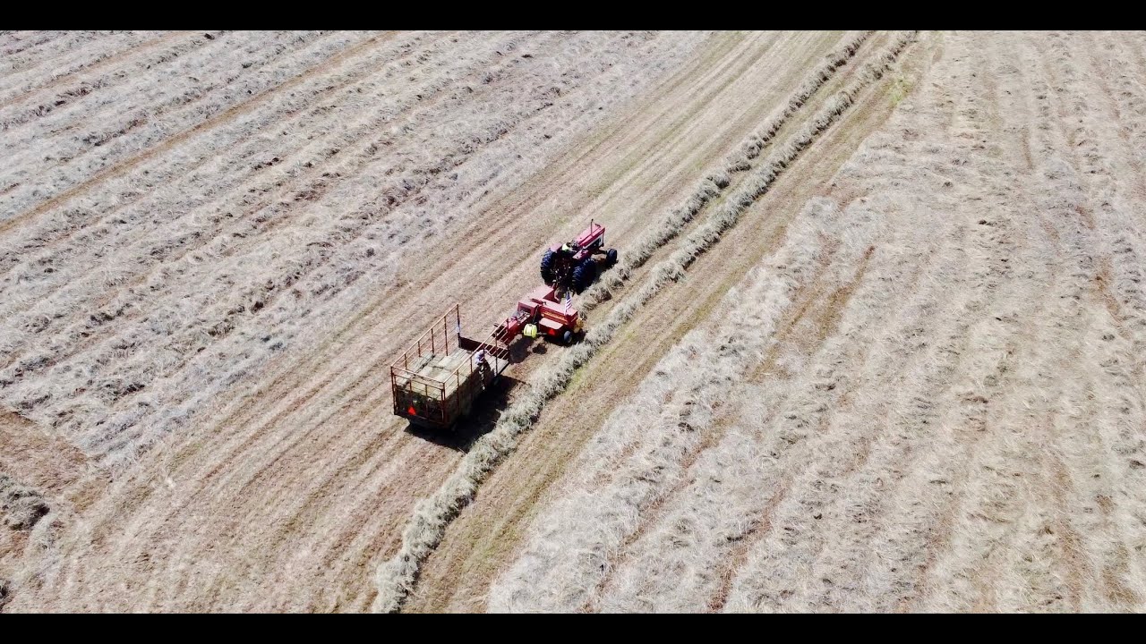 Taking A Look Back At Summer! - YouTube