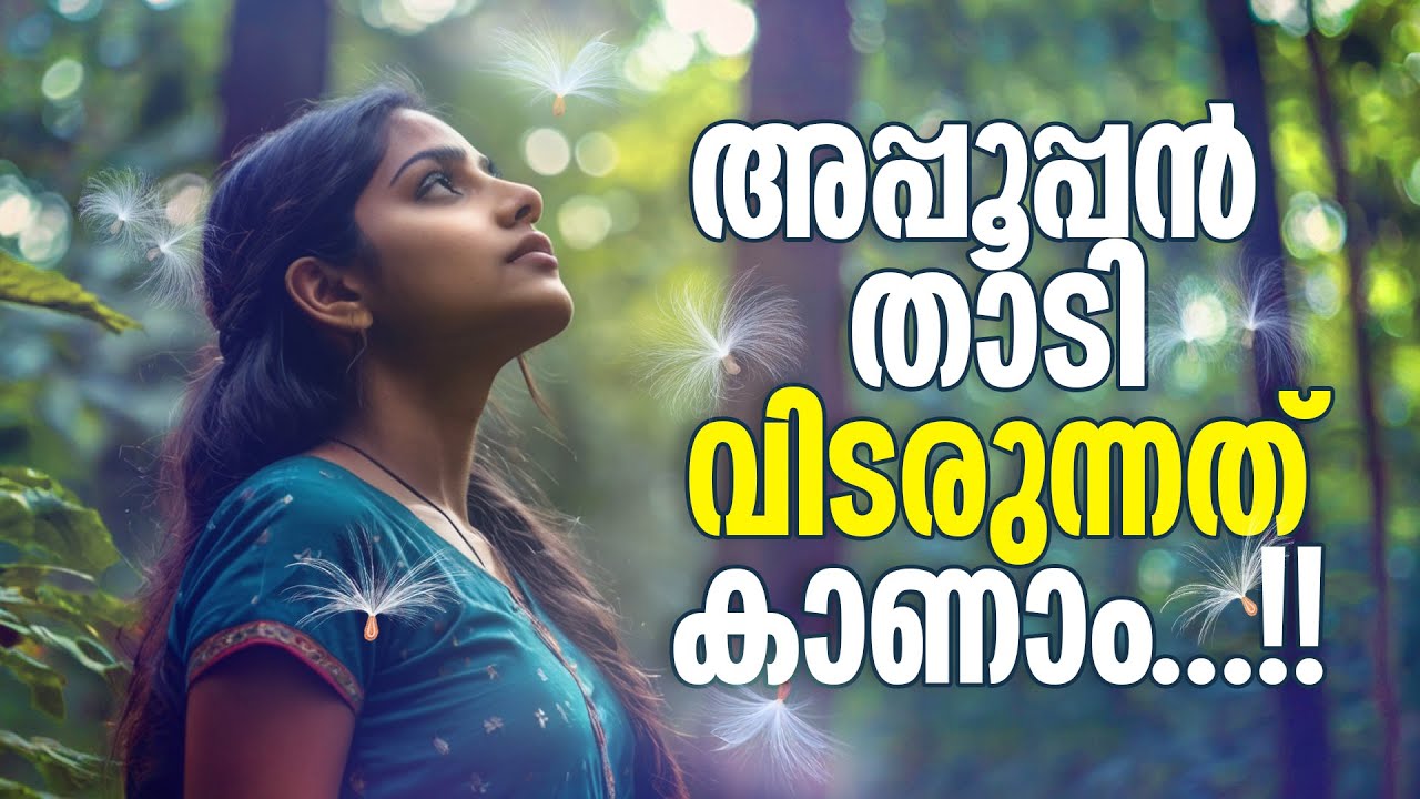 Milkweed Plant Secrets - Appoppanthadi Plant - YouTube