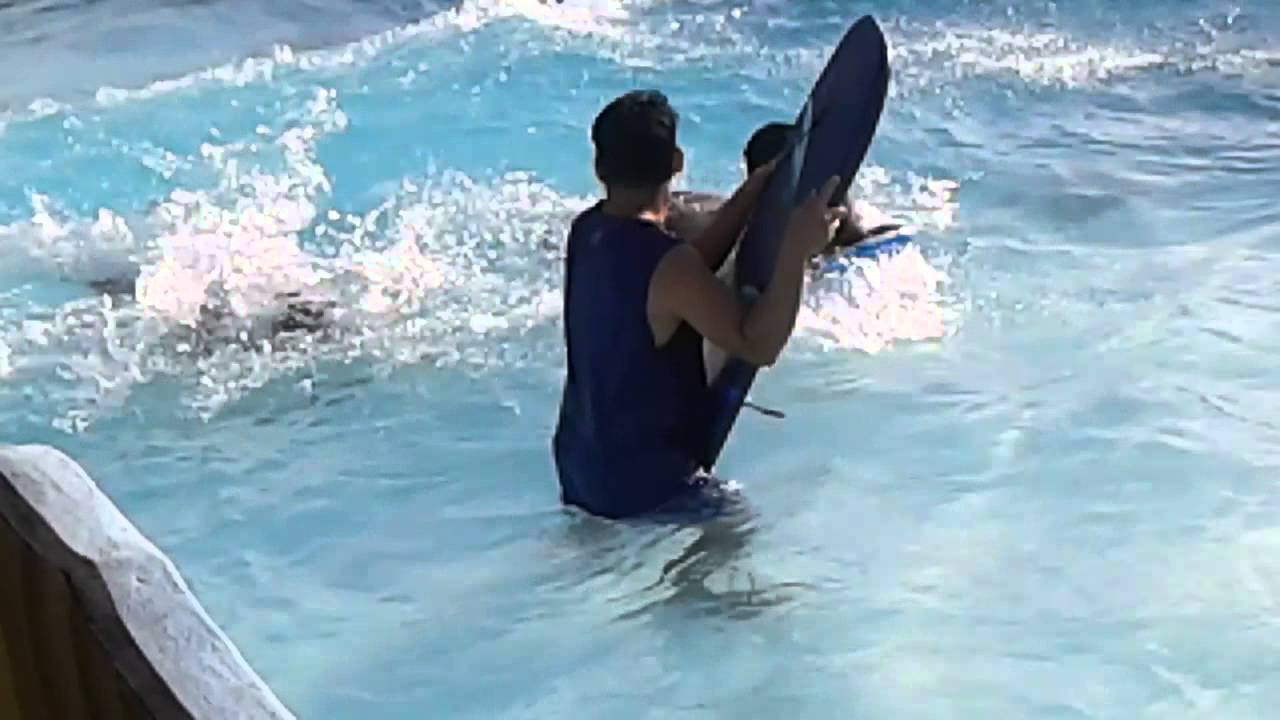 Pinamungajan Wave pool - YouTube