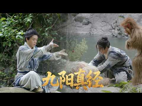 張無忌隨手救下白猿，竟意外獲得神功秘籍，出關後橫掃六大門派！⚔️#武侠 #功夫 #kungfu #武打 #movie #film #中國電視劇 #chinesedrama #金庸