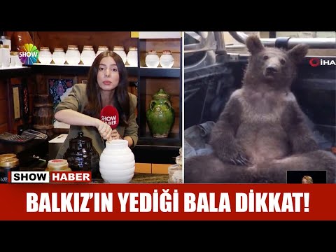 Balkız'ın yediği bala dikkat!