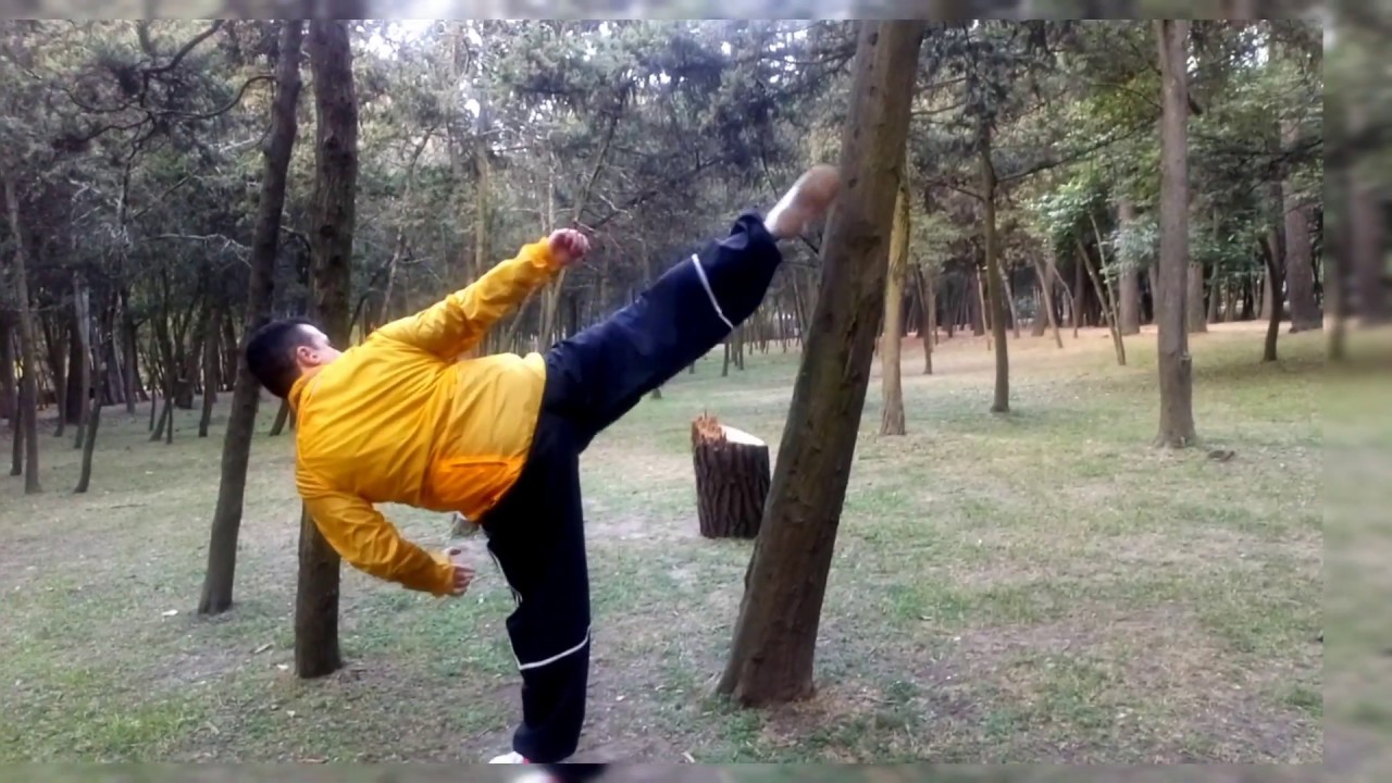 Tutorial patada de empeine - YouTube