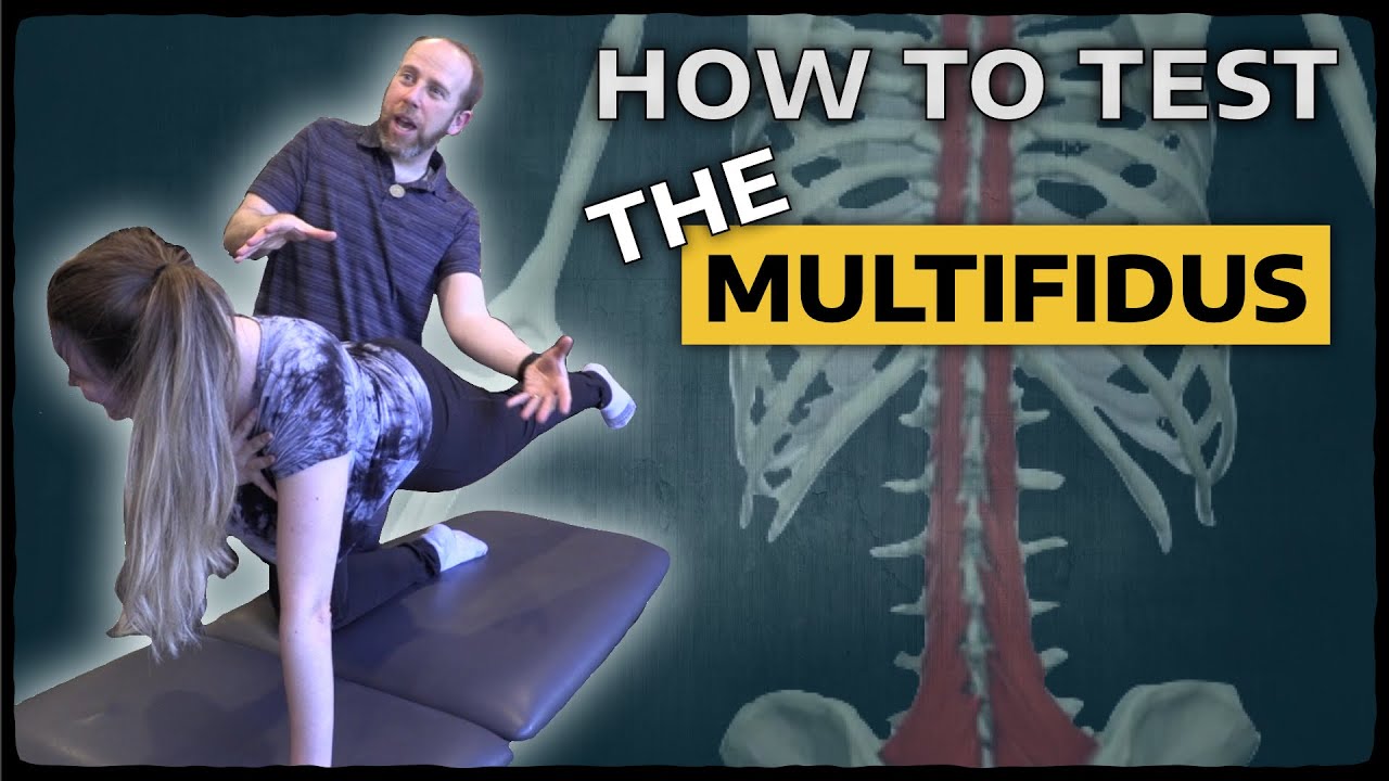 HOW TO TEST THE MULTIFIDUS | Physical Therapy Assessment - YouTube