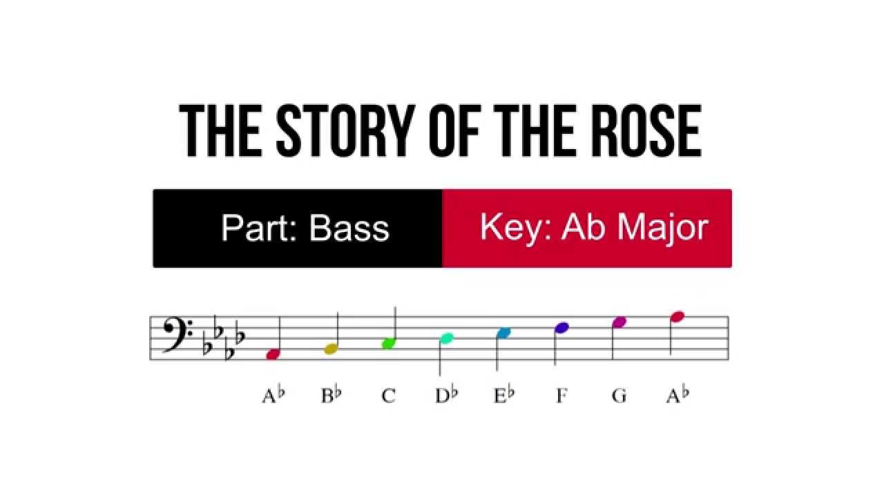 The Story Of The Rose - Bass Sample - YouTube