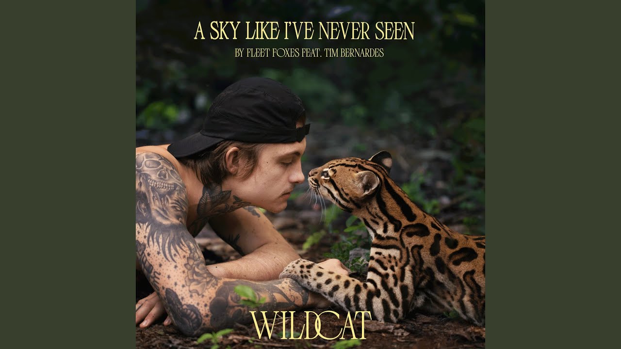 A Sky Like Ive Never Seen From The Amazon Original Movie Wildcat Youtube