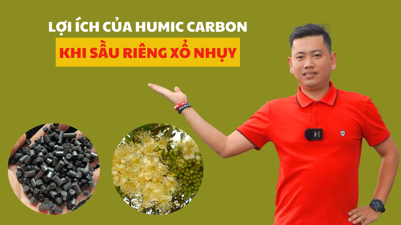 Lợi ích của Humic Carbon sau khi hoa sầu riêng sổ nhụy | Nông Nghiệp ...