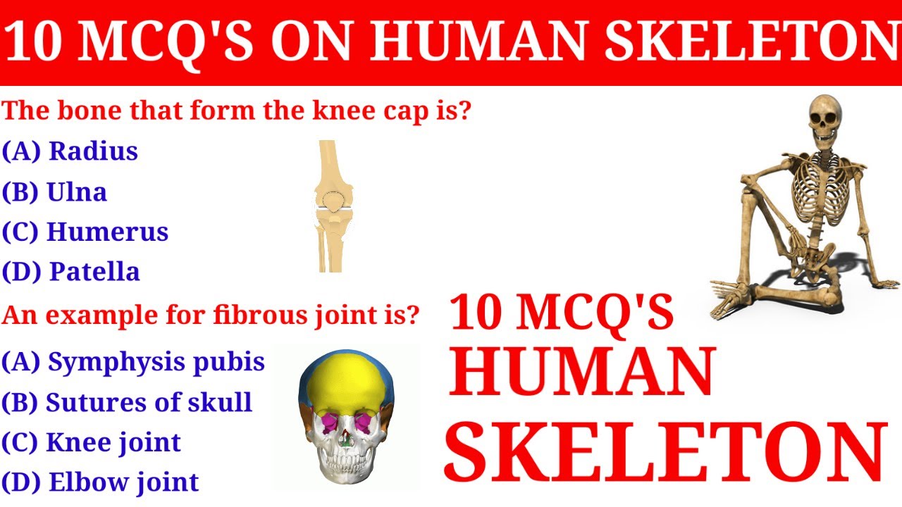 Skeletal system anatomy and physiology || mcq on human skeleton system ...