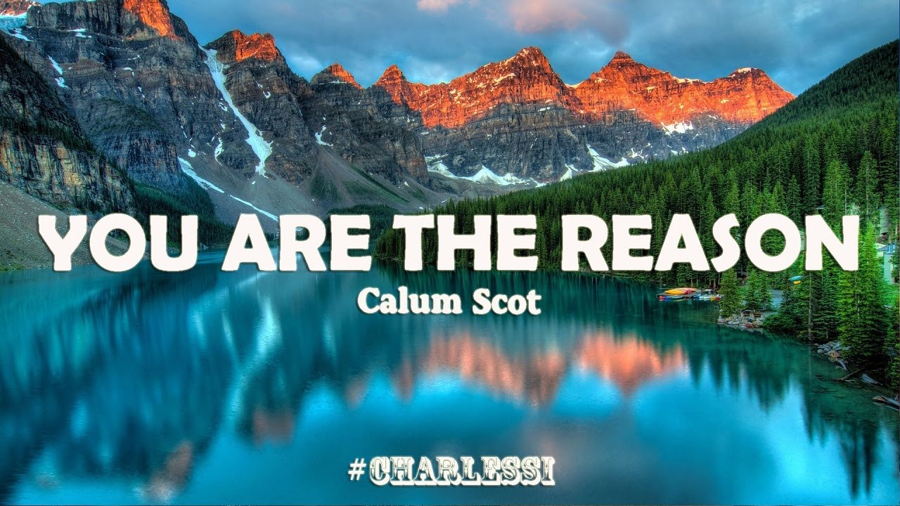 Calum Scott - You Are The Reason (Lyrics) - YouTube