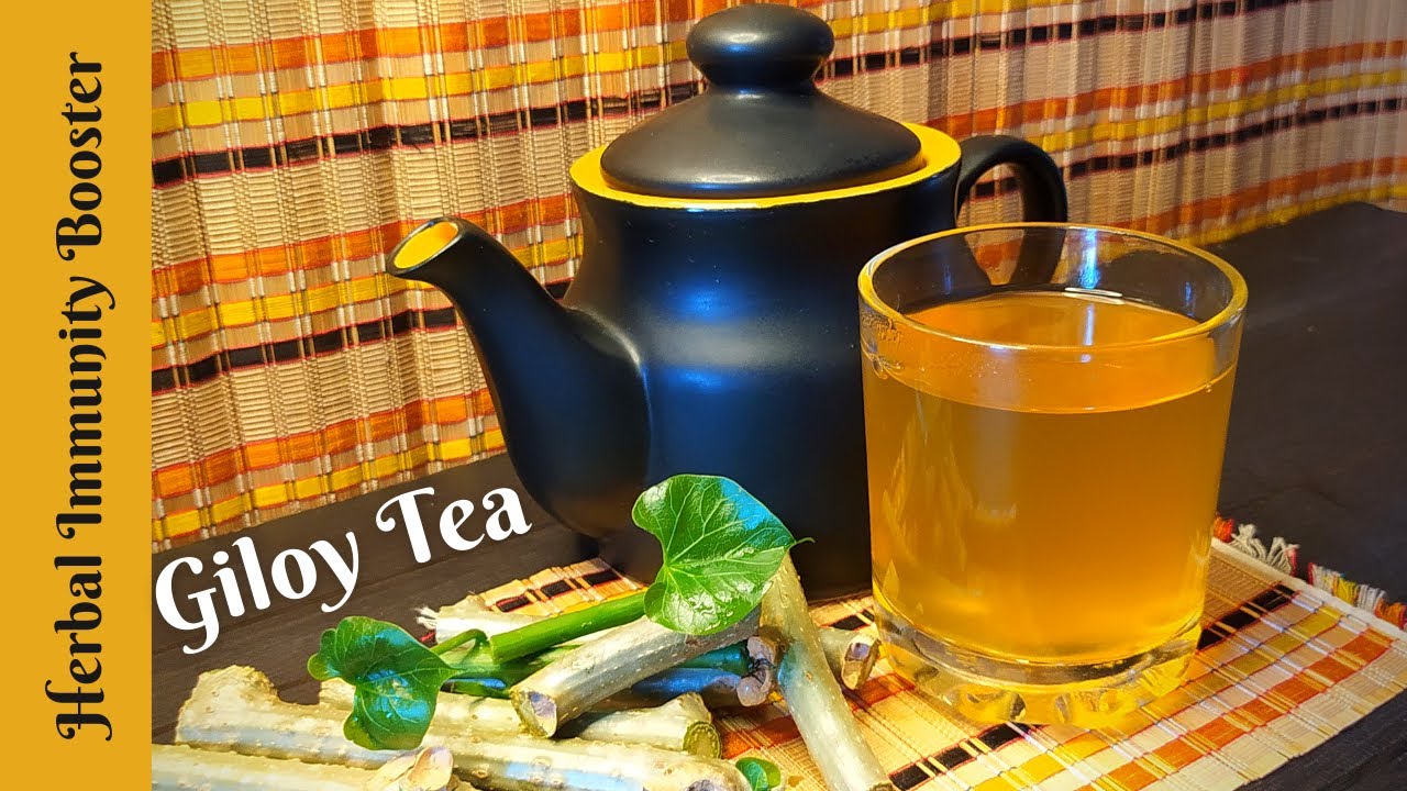 Why & How You Should Take Homemade Giloy Drink, A Natural & Herbal ...