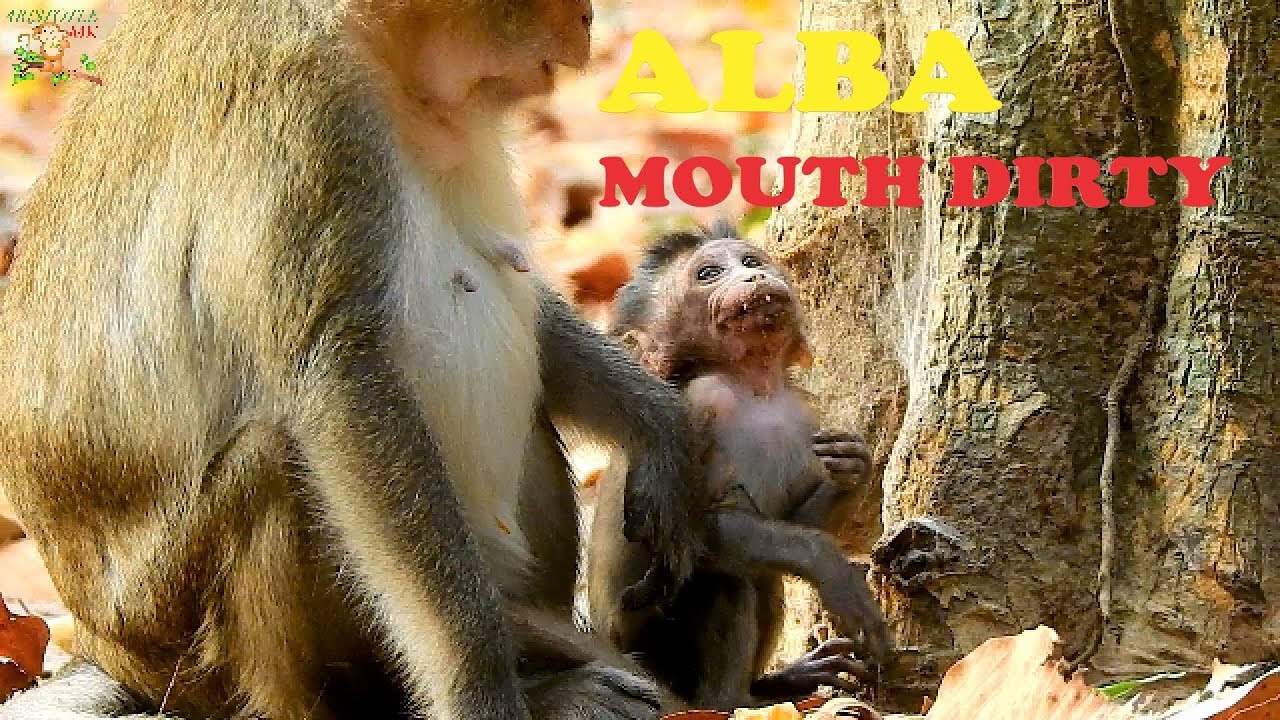 MUCH PITY SEEN BABY ALBA MOUTH LIKE THIS , WHAT HAPPEN ON BABY SKINNY ...