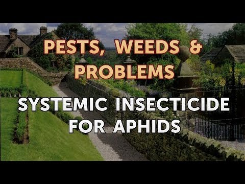 What Systemic Pesticides Kill Aphids