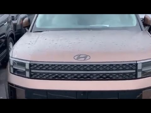 2024 Santa Fe Calligraphy in Earthy Brass Matt/Gray interior walk ...