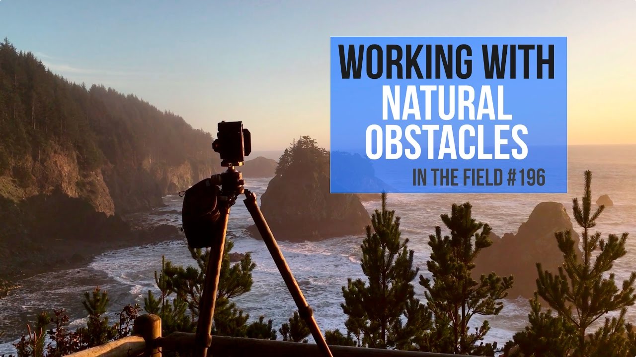 In The Field: Working With Natural Obstacles #196 - YouTube