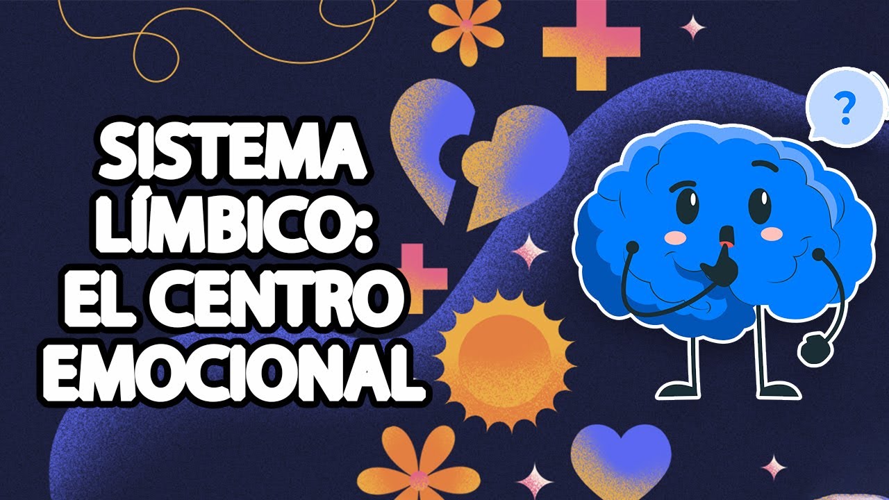 Sistema Límbico: El Centro EMOCIONAL 🧠 ️ - YouTube