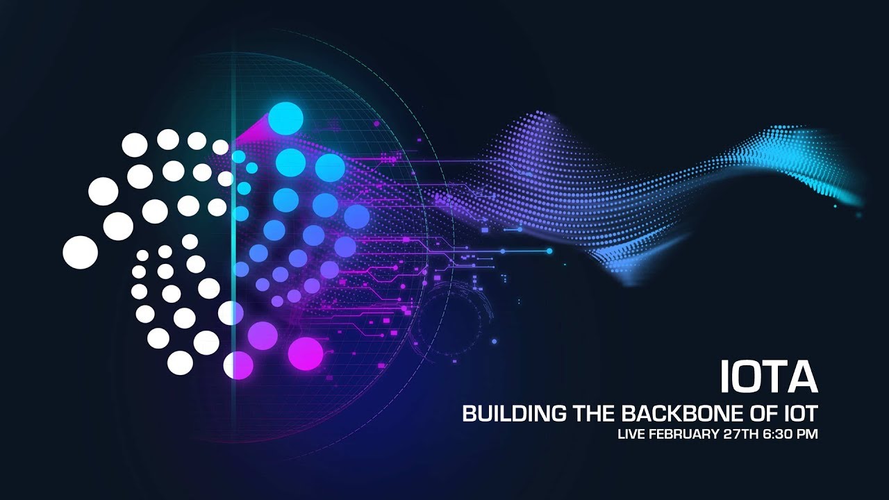IOTA - Building the backbone of IoT - YouTube