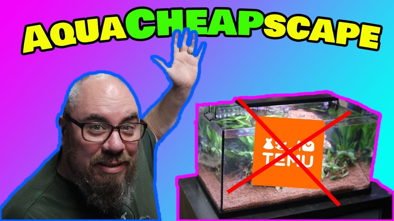 I tried to make the cheapest aquascape possible - the anti Temu tank ...